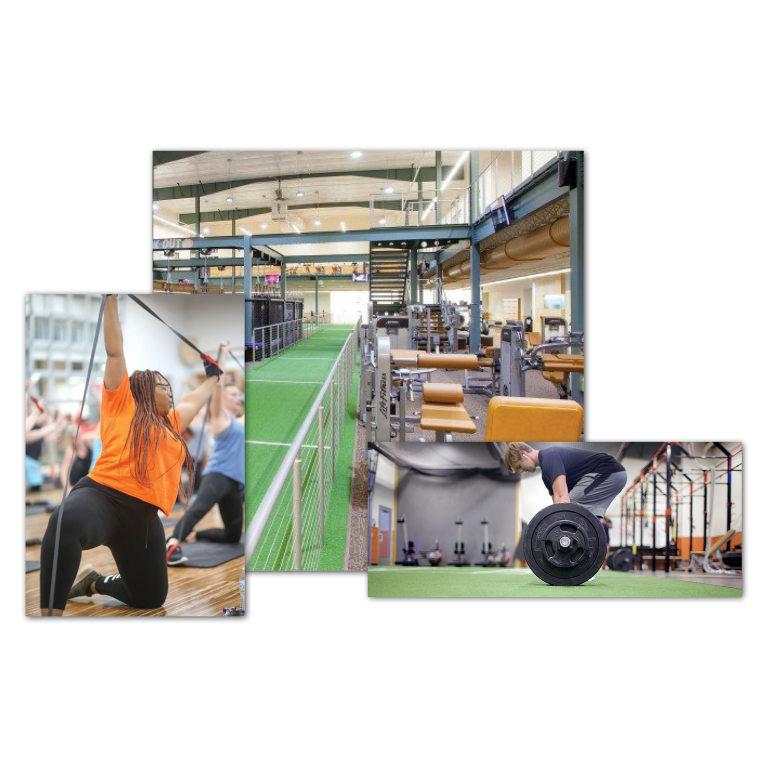 Evans Fitness Club | Home | Join Our Gym at EFC | State of the Art Facility